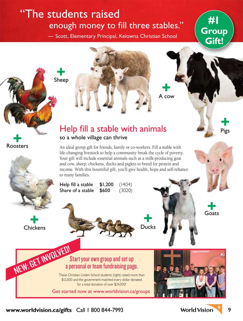 How to “fill a stable” with Farm Animals – Immaculate Heart of Mary School